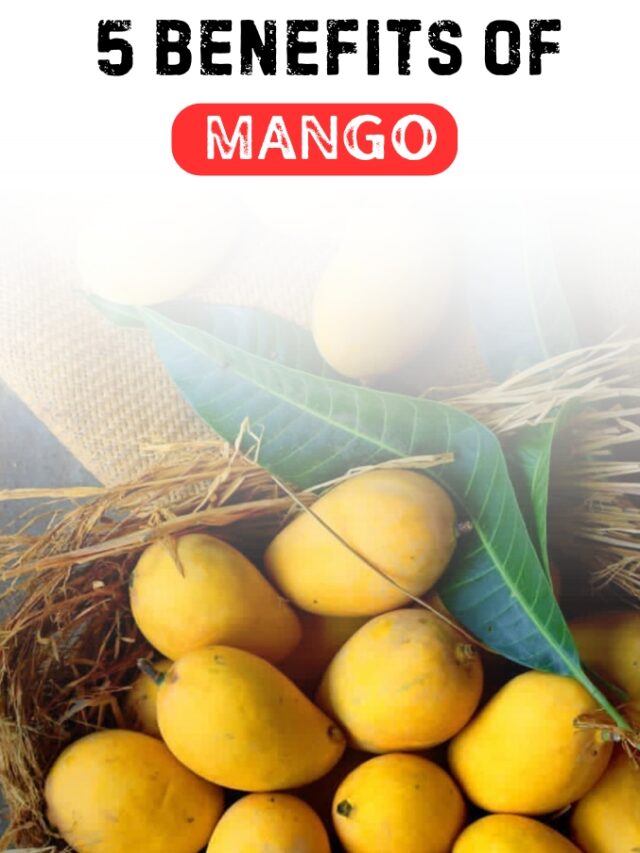 5 Benefits of Mango – Web Stories